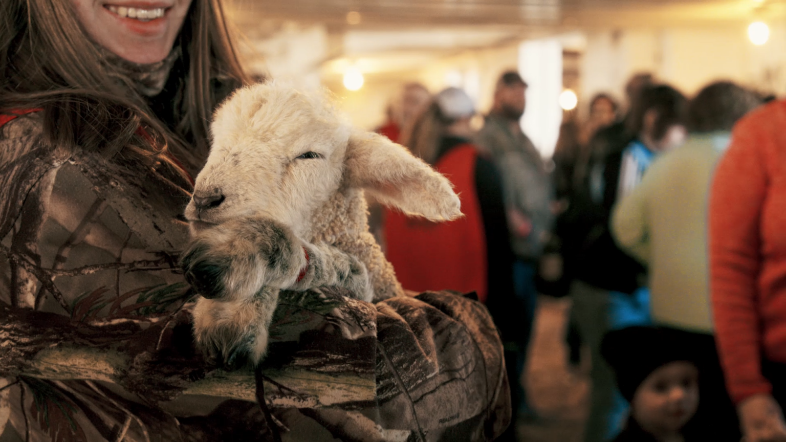 Explore Govin's Farm: 6 Enriching Activities for All Ages - Explore ...